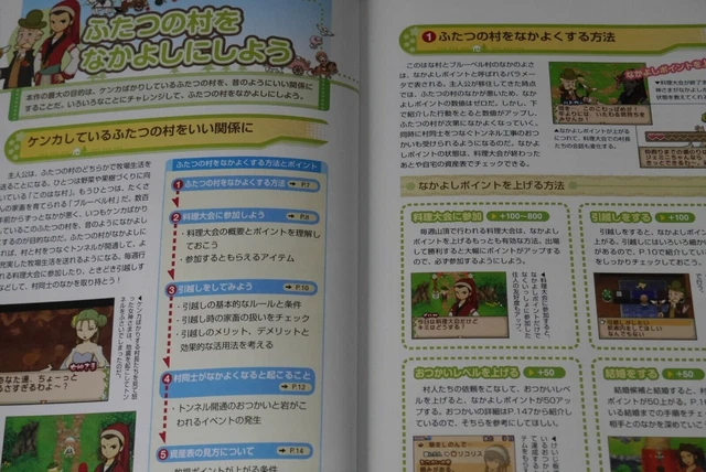 HARVEST MOON - The Tale of Two Towns Kyuukyoku Guide Book JAPAN $98.98 ...