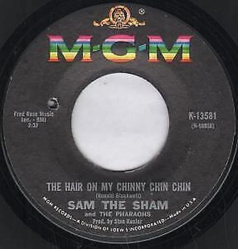 SAM THE SHAM and the Pharaohs Hair On My Chinny Chin Chin 7" vinyl USA Mgm with EUR 4,85 ...