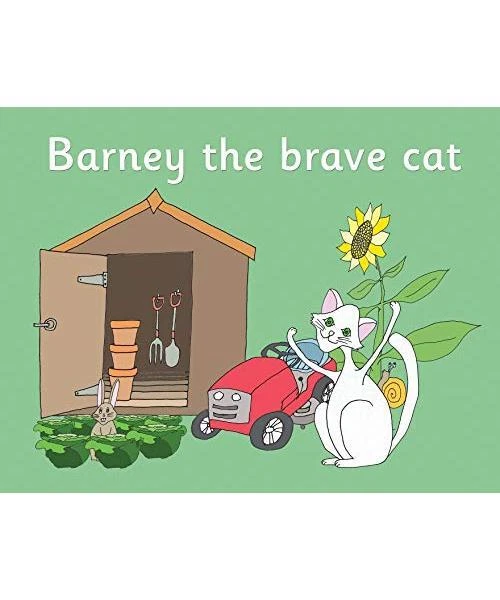 BARNEY THE BRAVE cat, R. M. Price-Mohr EUR 14,79 - PicClick FR