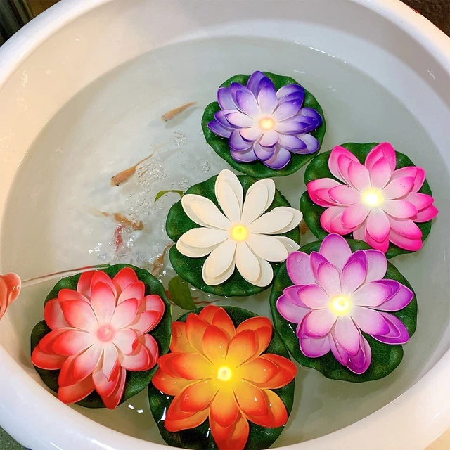 EYE CATCHING WATER Lily with LED Light for Captivating Home Aquarium ...