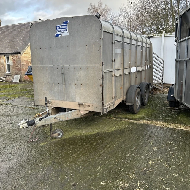 IFOR WILLIAMS 14 Foot livestock trailer £2,769.00 - PicClick UK