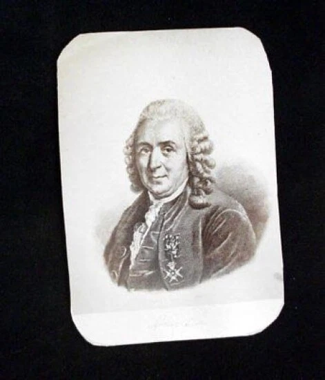 FOTO EPOCA CARTE de visite Linneo 1890 ca. EUR 29,99 - PicClick FR