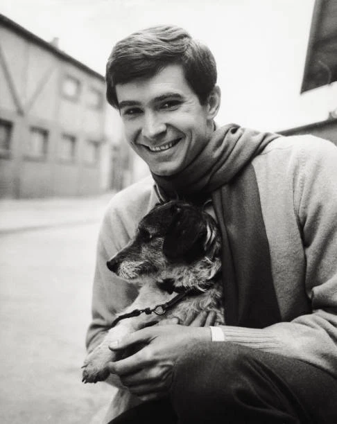 ANTHONY PERKINS SMILING cuddling a dog 1962 Historic Old Photo $8.50 ...