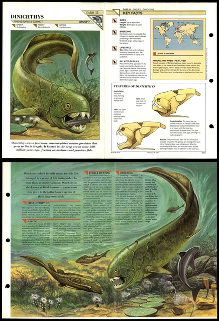 DINICHTHYS #11 EXTINCT Wildlife Fact File Fold-Out Card £1.99 - PicClick UK