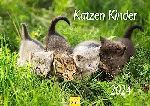 EDITION SEIDEL CALENDRIER mural 2024 pour chats et enfants - Format A3 ... EDITION SEIDEL CALENDRIER mural 2024 pour chats et enfants - Format A3 ...