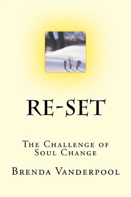 RE-SET : THE Challenge of Soul Change par Brenda Vanderpool (anglais ...