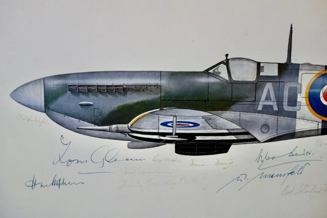 RAF SPITFIRE BATTLE OF BRITAIN SIGNED DOUGLAS BADER +17 AUTOGRAPHS ...