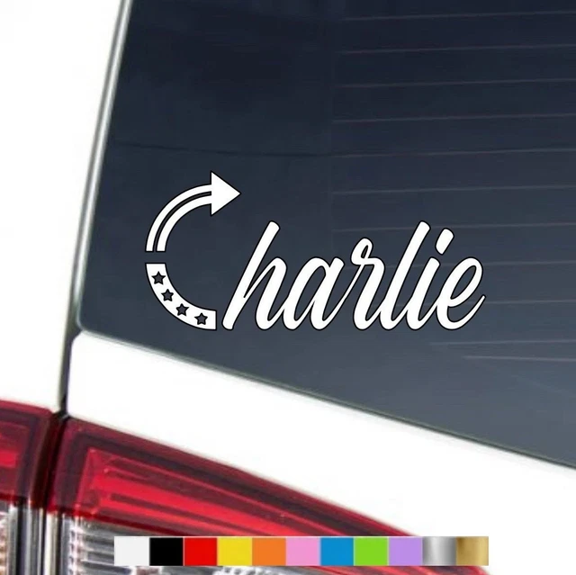 FREEDOM VINYL DECAL Sticker - Charlie Kirk Patriotism USA Turning Point ...