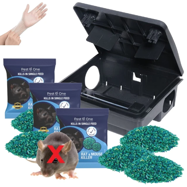 PROFESSIONAL RAT & Mouse Killer Poison Grain Strongest Bait Available ...