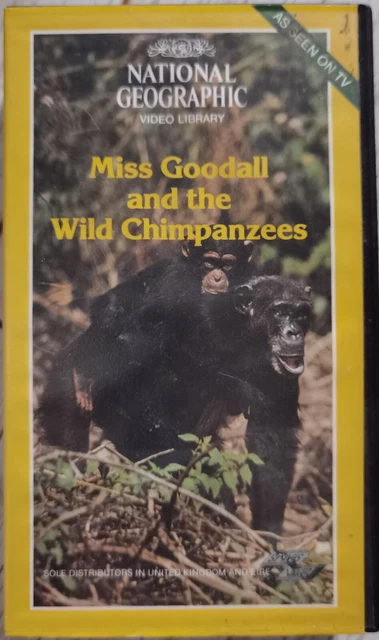 MISS GOODALL AND The Wild Chimpanzees VHS Video National Geographic TV ...