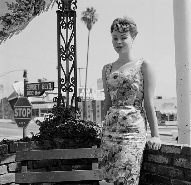 MISS ENGLAND BEAUTY Contest Winner 1959 Pamela Searle 11 Old Photo $9. ...