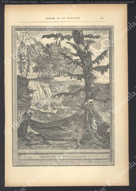 GRAVURE FABLES DE La Fontaine OUDRY Le chat et le rat Planche EUR 4,90 ...