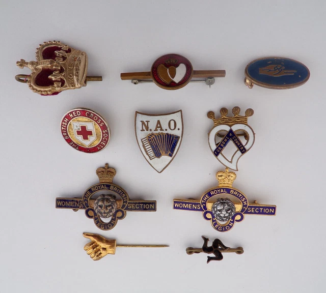 COLLECTION ENAMEL BRITISH Vintage Royal SWRI WW2 Red Cross Donor NAO ...