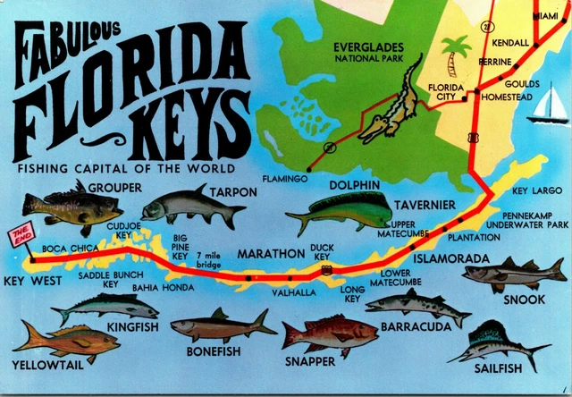 FABULOUS FLORIDA KEYS Map Road Log Fish Postcard UNP Chrome $8.47 ...
