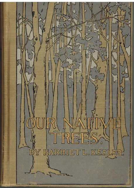 OUR NATIVE TREES AND HOW TO IDENTIFY THEM A Popular Study Of Their our-native-trees-and-how-to-identify-them-a-popular-study-of-their