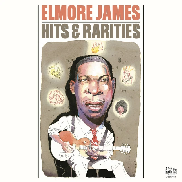 ELMORE JAMES HITS & Rarities (CD) Album EUR 33,23 - PicClick FR