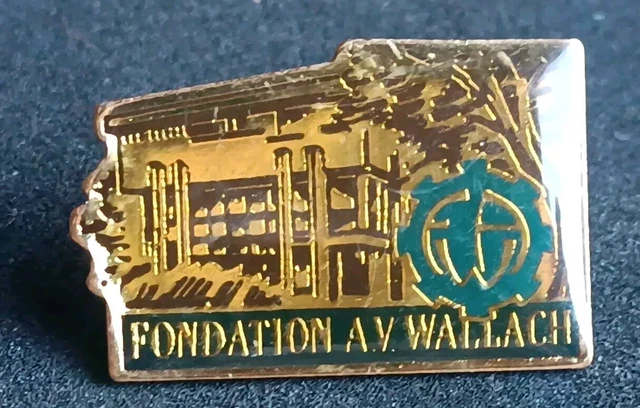 SPILLA PINS DISTINTIVO Stemma Simbolo Badge Logo Crest Fwa Fondation Av ...