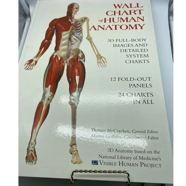 WALL CHART OF Human Anatomy, Thomas McCracken 2001 24 charts ISBN ...