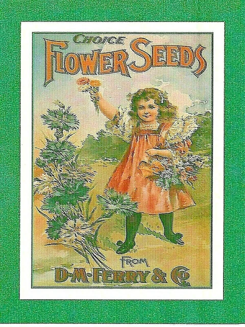 VINTAGE SEED PACKAGE Posters Wallpaper Border 3 spools 45 feet "FREE ...