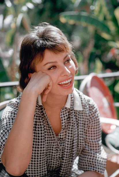 ITALIAN ACTRESS SOPHIA Loren poses in Los Angeles 1958 Old Photo 3 EUR ...