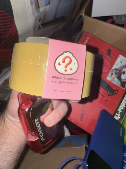DUMPLING SQUISHY MYSTERY Which Secret Will You Reveal? Viral Nee Doh ...