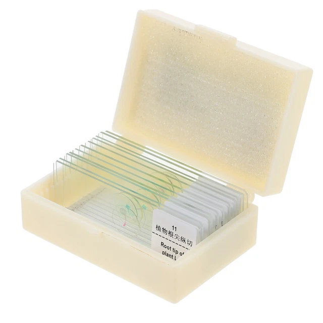 MICROSCOPE SECTION CHILD Bioexperiment Slides Biology Class Props £14. ...