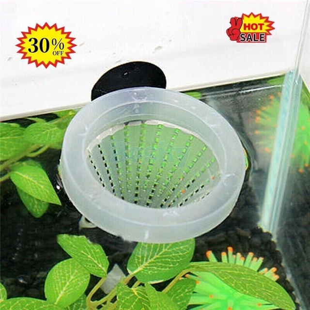 CONO ALIMENTATORE VERME rosso acquario alimentazione salamoia ...