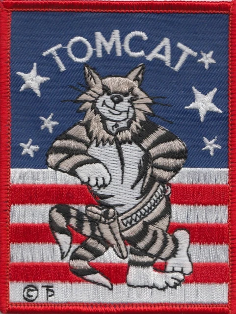 GRUMMAN F-14 TOMCAT Standing US Navy Embroidered Patch - LAST FEW £14. ...