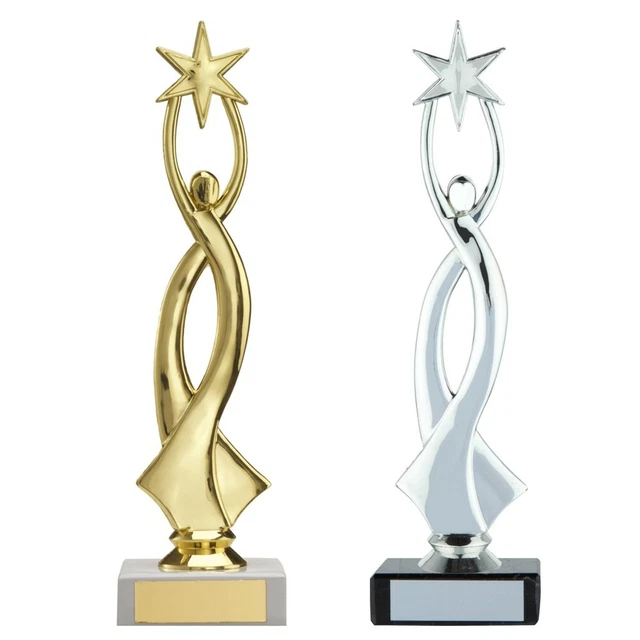 GOLD AND SILVER Star Achievement School Awards Trophies 240mm FREE ...