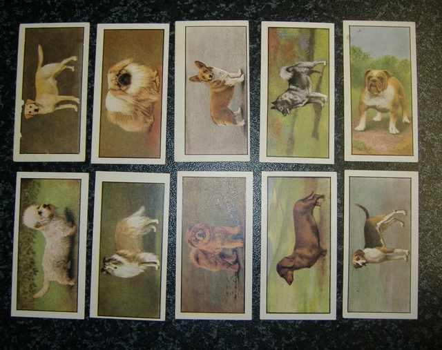BARBERS TEA - Part Set of Dogs 21/24 £3.25 - PicClick UK