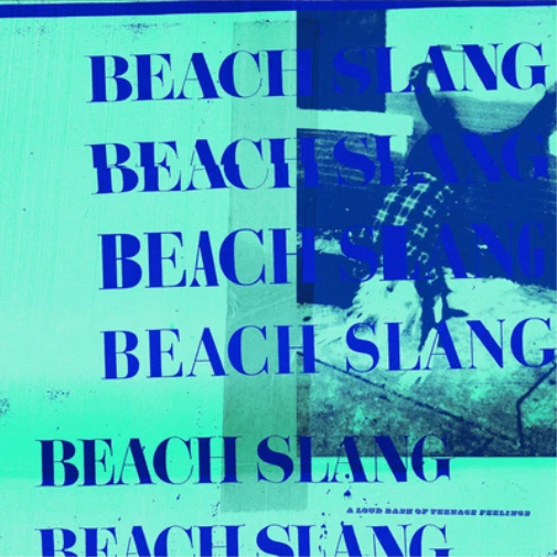 BEACH SLANG A Loud Bash of Teenage Feelings (CD) Album EUR 4,98 ...