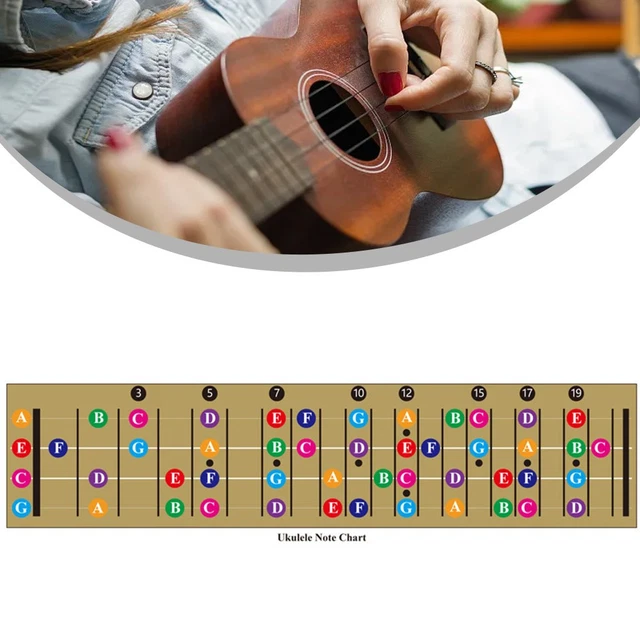 FRETBOARD NOTE CHART Guitar Fretboard Note Chart Color Coded Plastic ...
