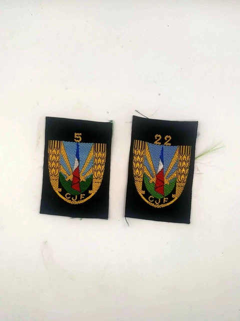 MILITARIA-WW2-VICHY-INSIGNES TISSU DES chantiers de la jeunesse groupe 5 et 22 EUR 12,00 ...