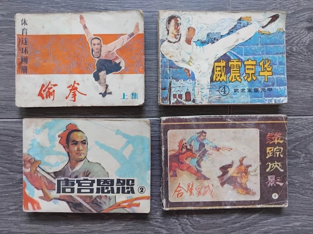 LIVRETS KUNG FU dont Bruce Lee EUR 55,00 - PicClick FR