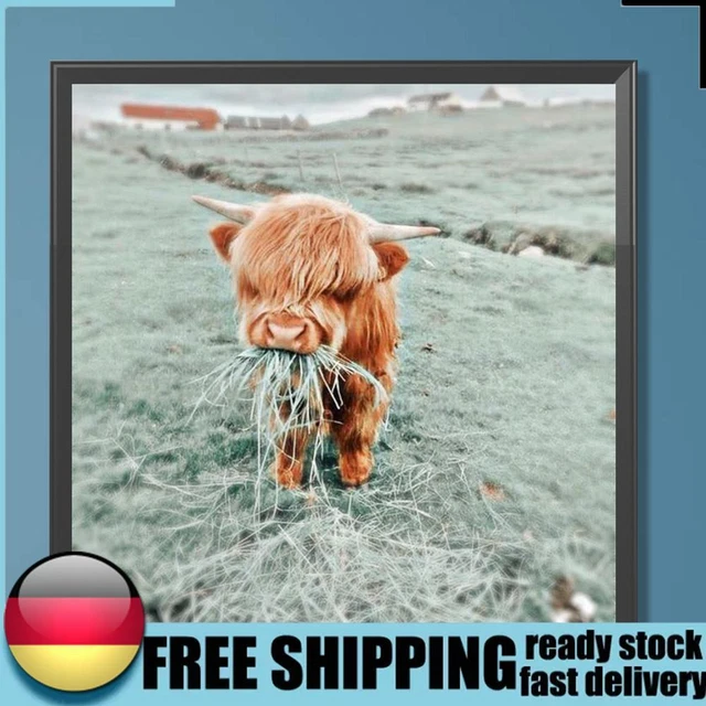 5D-DIAMANT-GEMÄLDE ZUM SELBERMACHEN, runder Bohrer, Rinder-Set, Heim-Kunst-Dekor EUR 8,23 ...