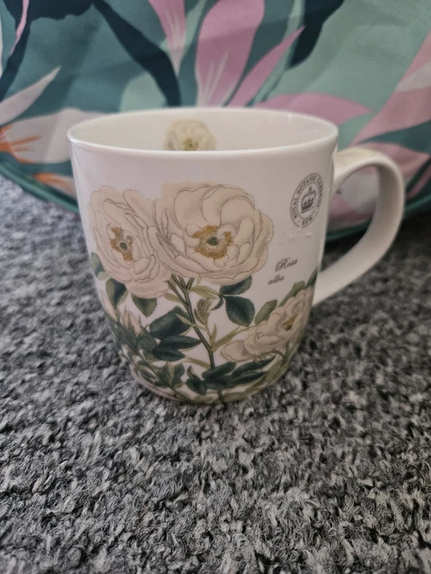 🐞KEW ROYAL BOTANIC Gardens Fine Bone China Mug🐞 £4.90 - PicClick UK
