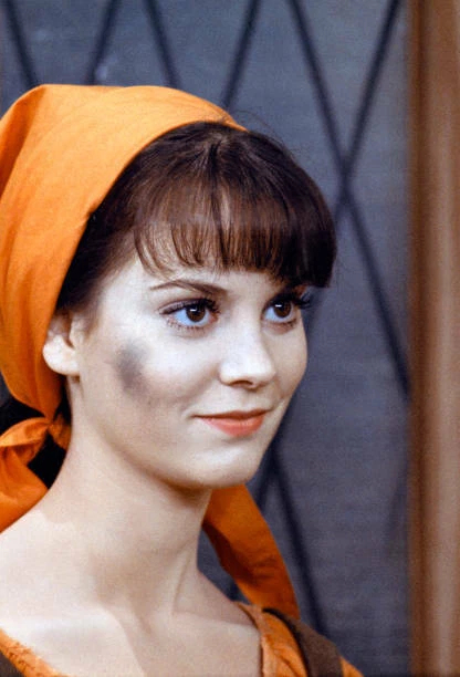 CINDERELLA LESLEY ANN WARREN 1965 TV OLD PHOTO 8 $8.50 - PicClick AU