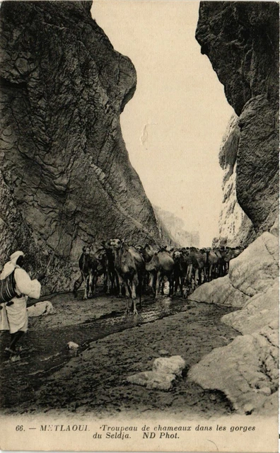 CPA AK TUNISIA METLAOUI Troupeau de Chameaux dans les Gorges (822186 ...