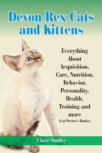 CLARE SMILEY DEVON Rex Cats and Kittens Everything about Acquisition ...