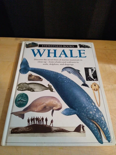 WHALE, DISCOVER SECRET lives of marine mammals By Eyewitness Books £8. ...
