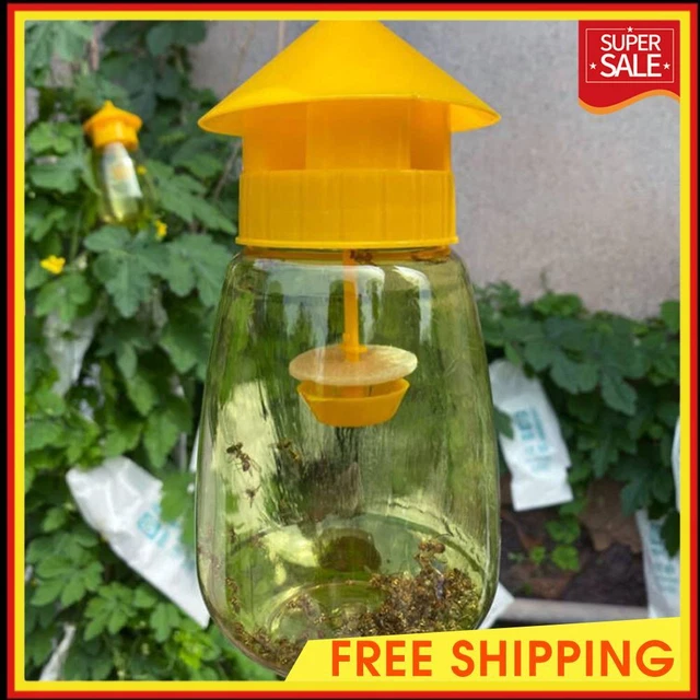 FRUIT FLY TRAP Killer Drosophila Trap Solid Insect Fly Trap Yellow for ...