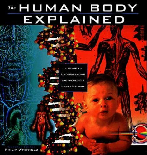 THE HUMAN BODY Explained An Owner s Guide To The Incredible Living the-human-body-explained-an-owner-s-guide-to-the-incredible-living