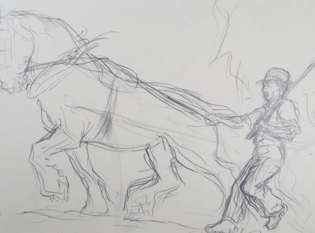 ORIGINAL PENCIL SKETCH,'STUDY of a Heavy Horse', Helen Collins (1921 ...