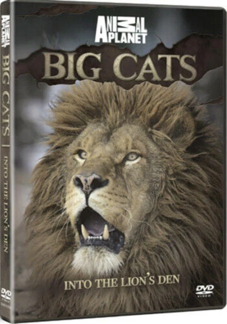 BIG CATS: INTO The Lion's Den DVD Dave Salmoni (2013) EUR 2,23 ...