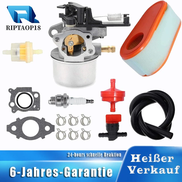 VERGASER FÜR BRIGGS Stratton 216852 590780 590948 591137 Rasenmäher ...