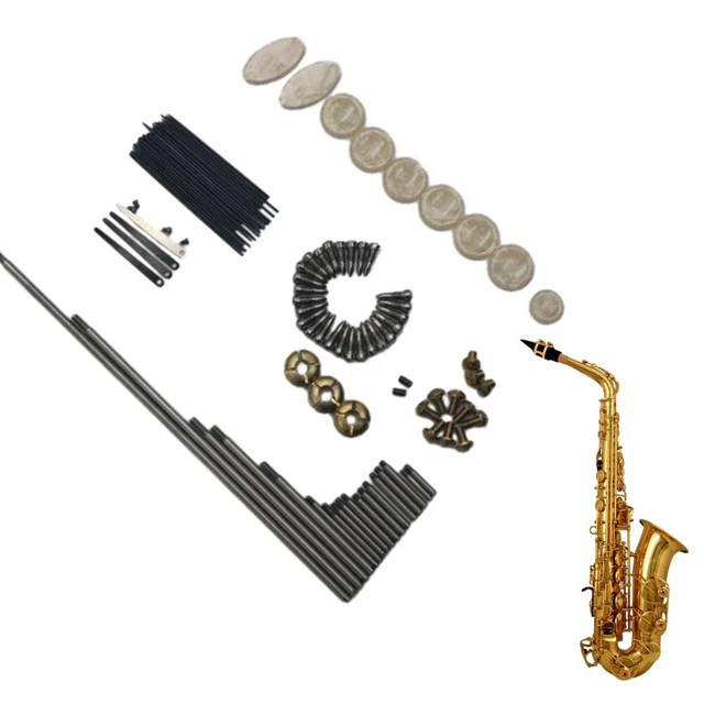 ESSENTIAL SAXOPHONE REPAIR Kit with Screws and Springs for Smooth ...