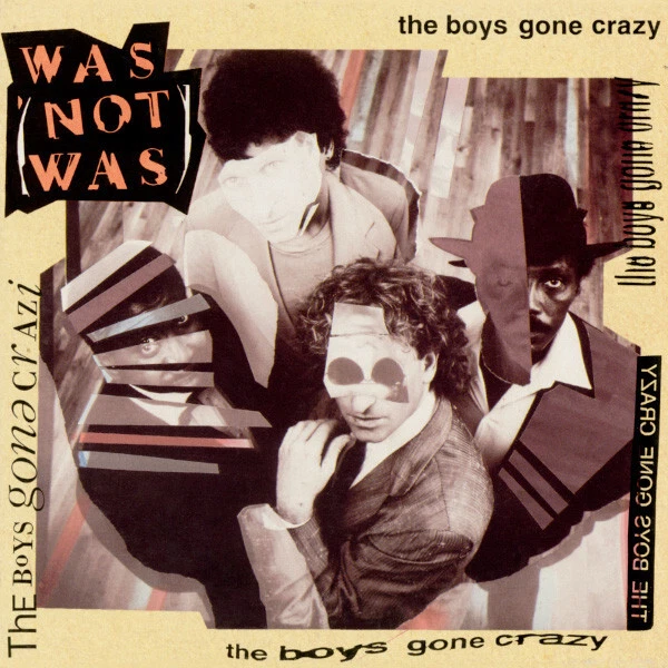 WAS - THE Boy's Gone Crazy - Used CD - E5841z EUR 21,87 - PicClick IT