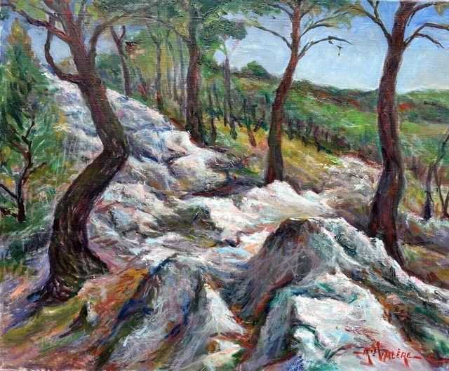 TABLEAU ANCIEN HUILE paysage de Provence signé Auguste VALERE (1901-1995) EUR 50,00 - PicClick FR