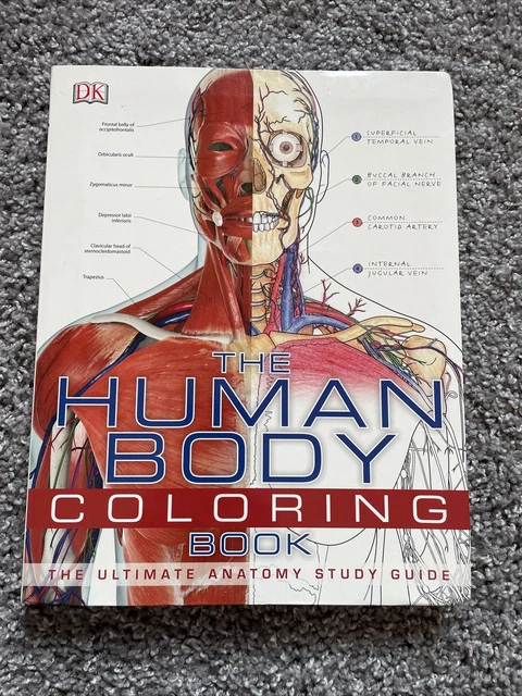 DK HUMAN BODY Guides: The Human Body Coloring Book : The Ultimate ...
