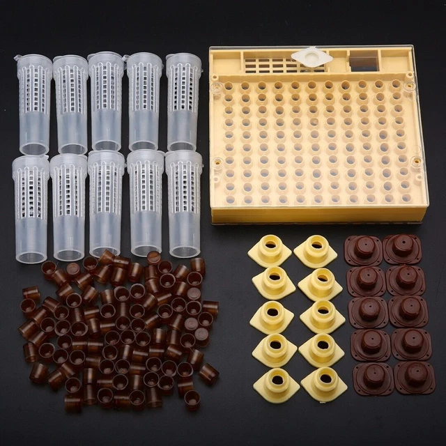 QUEEN REARING CUPKIT Box Hair Roller Cage Cell Cups Beekeeping Case Kit ...
